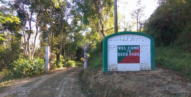 A Complete Travel Guide To Vantawng Waterfall and Tuirihiau Waterfall ...